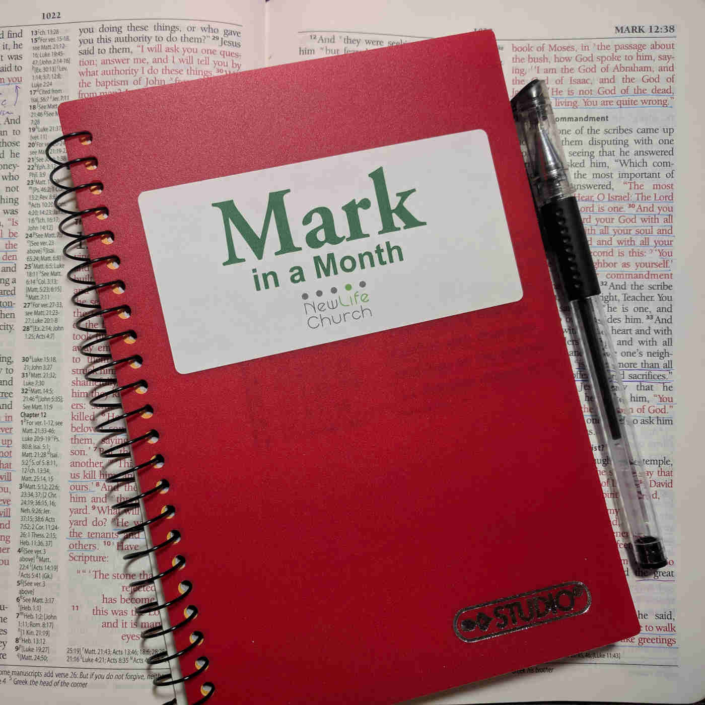 Mark in a Month 2. Reading through Mark - The Big Story and Structure