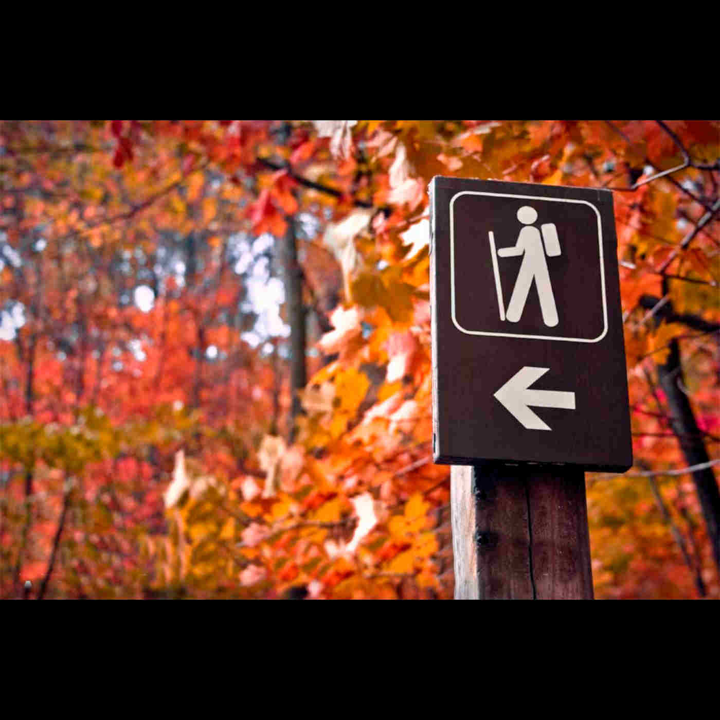 What does it mean to walk in the Spirit?